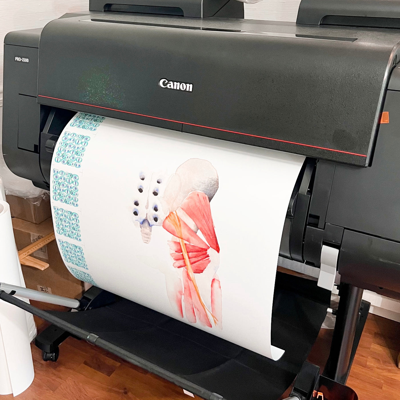 Hepatitis C Virus - Sandra Black